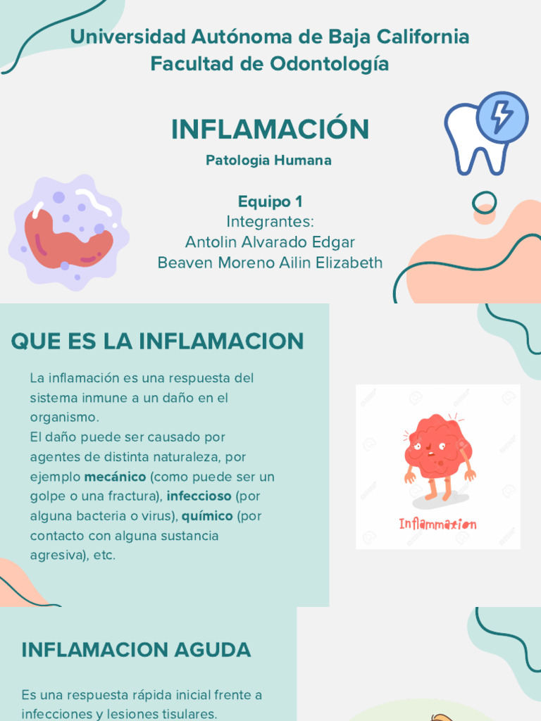 Inflamación: Causas y Efectos en Salud | PDF | Inflamación | Sistema inmune