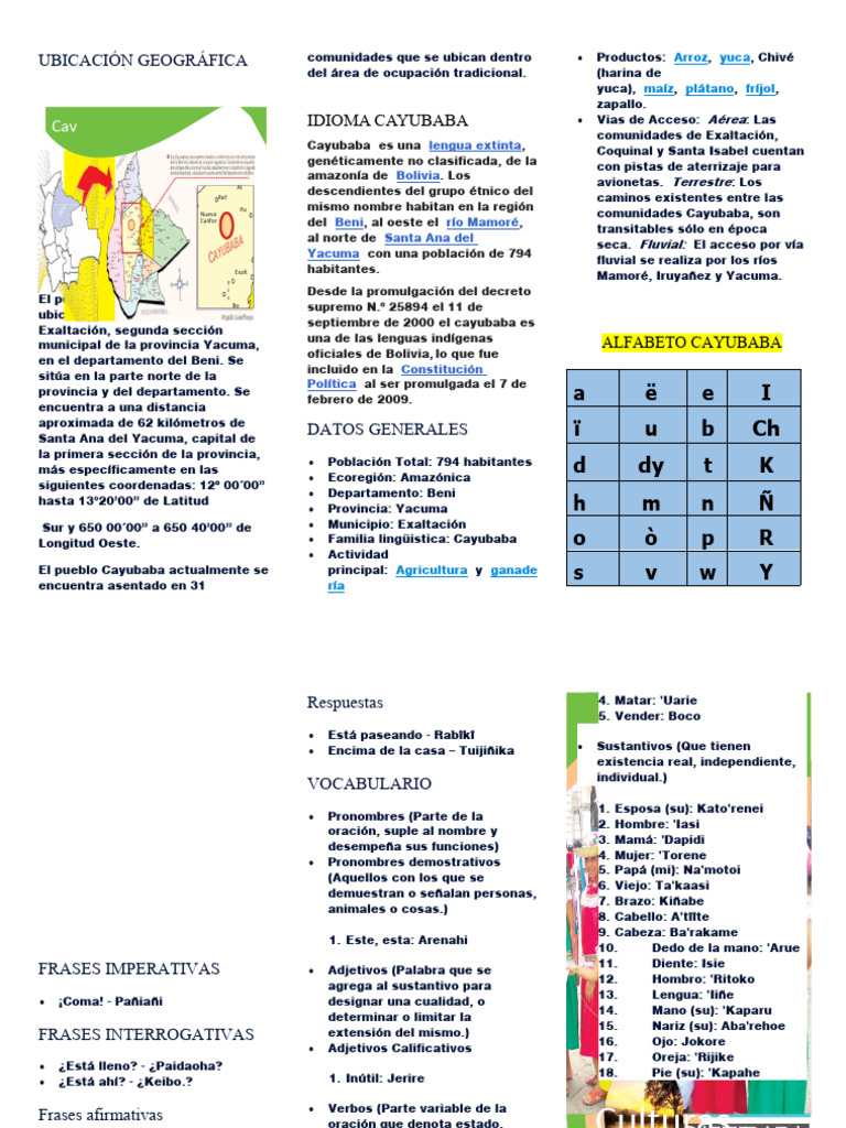 Triptico | PDF | Idiomas | Estudios de idiomas extranjeros