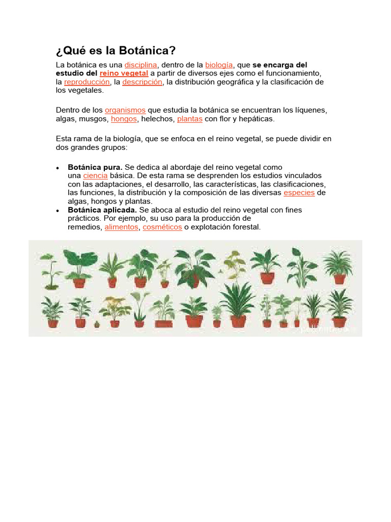 Introducción a la Botánica | PDF | Botánica | Organismos