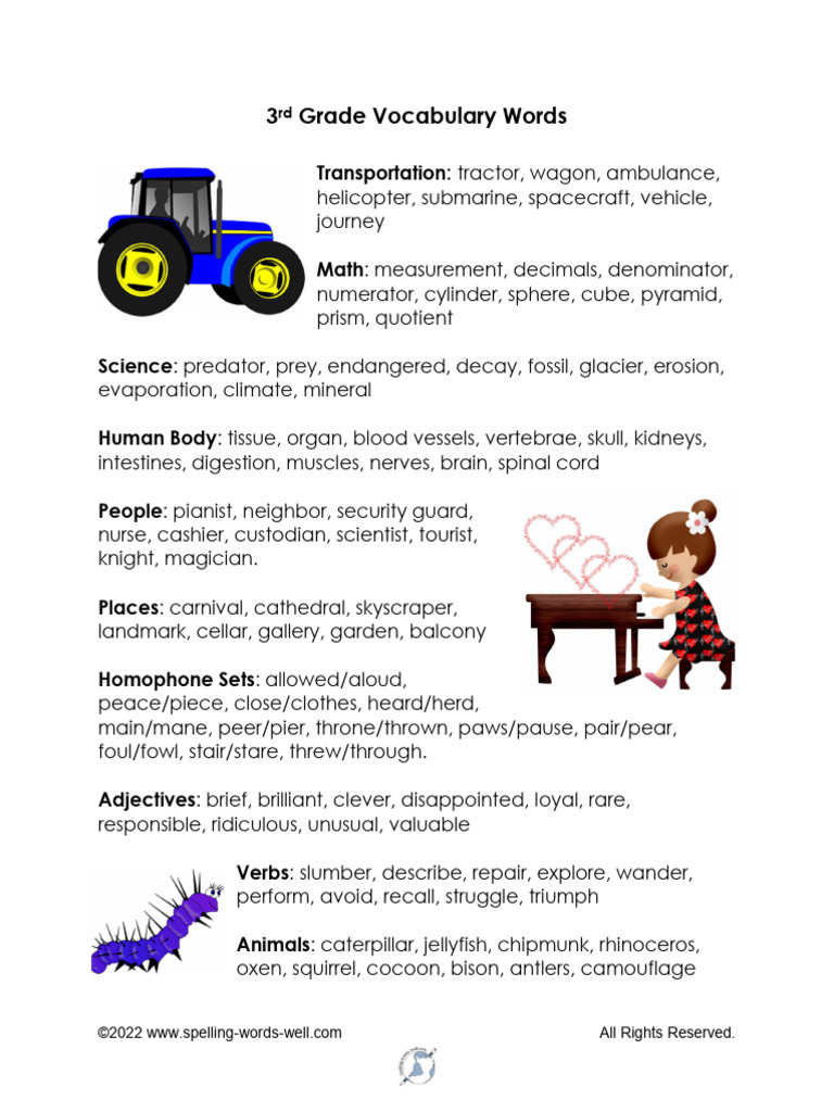 100 3rd Grade Vocabulary Words Categories | PDF | Young Adult | History