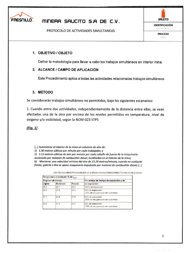Protocolo Actividades Simultaneas | PDF