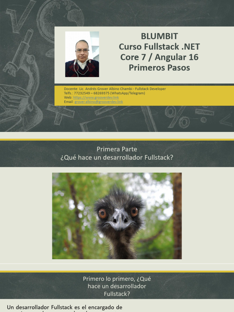 Curso Fullstack .NET y Angular | PDF | .NET Framework | Microsoft