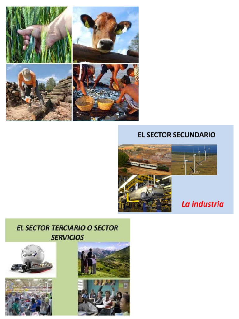Sectores Economicos | PDF