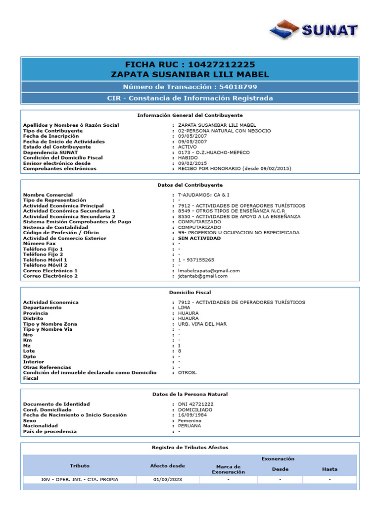 SUNAT - Menú SOL_sin | PDF | Documento de identidad