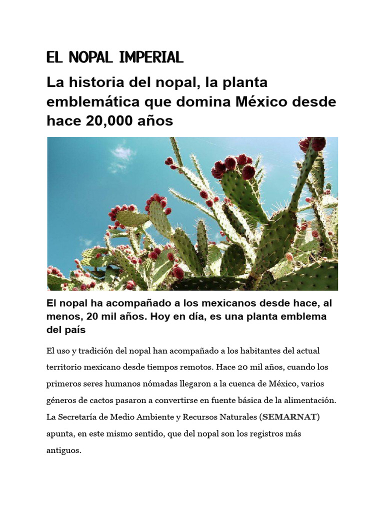 EL NOPAL IMPERIAL y Las Plantas Xerofitas | PDF | Hoja | Plantas