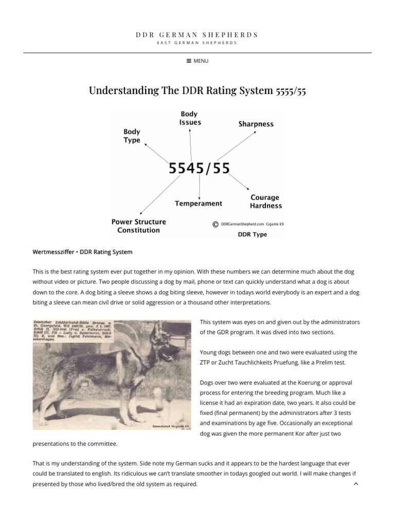 Understanding The DDR Rating System 5555/55 - DDR German Shepherds ...
