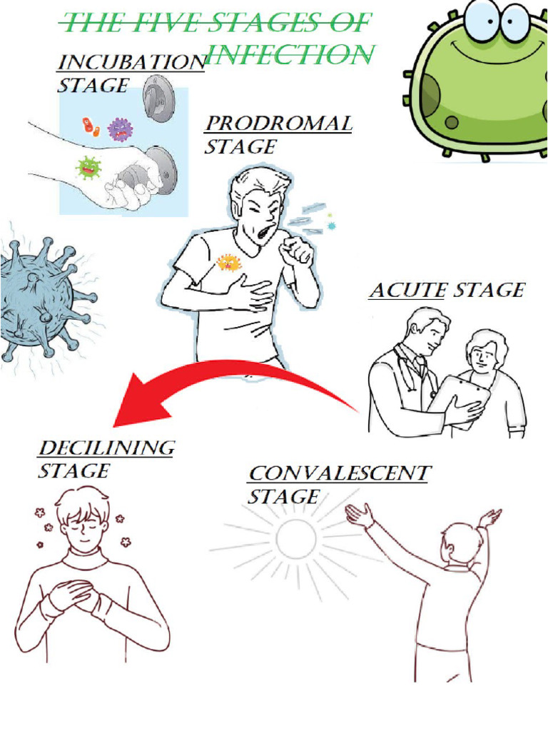 Health Activity 2 | PDF Health Activity 2 | PDF