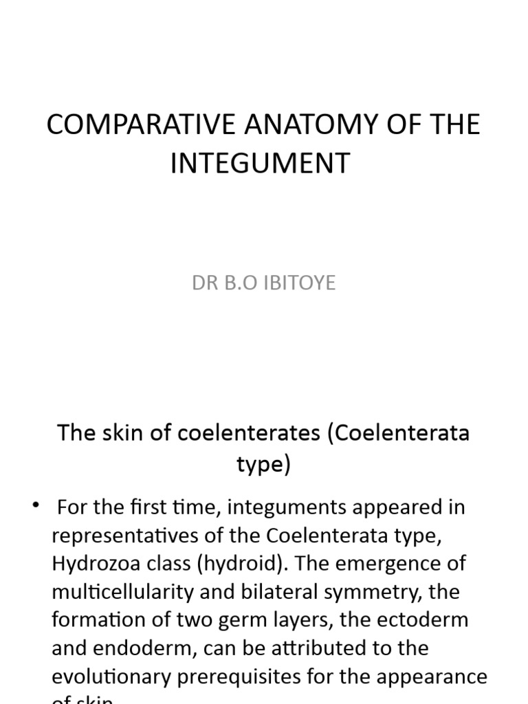 Comparative Anatomy of Integument Systems | PDF | Skin | Epidermis