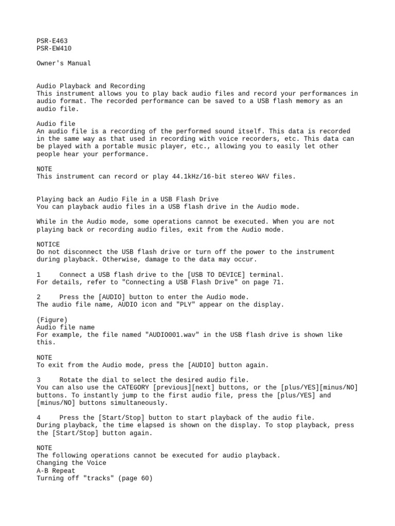 15 Audio Playback Recording | PDF | Usb Flash Drive | Flash Memory