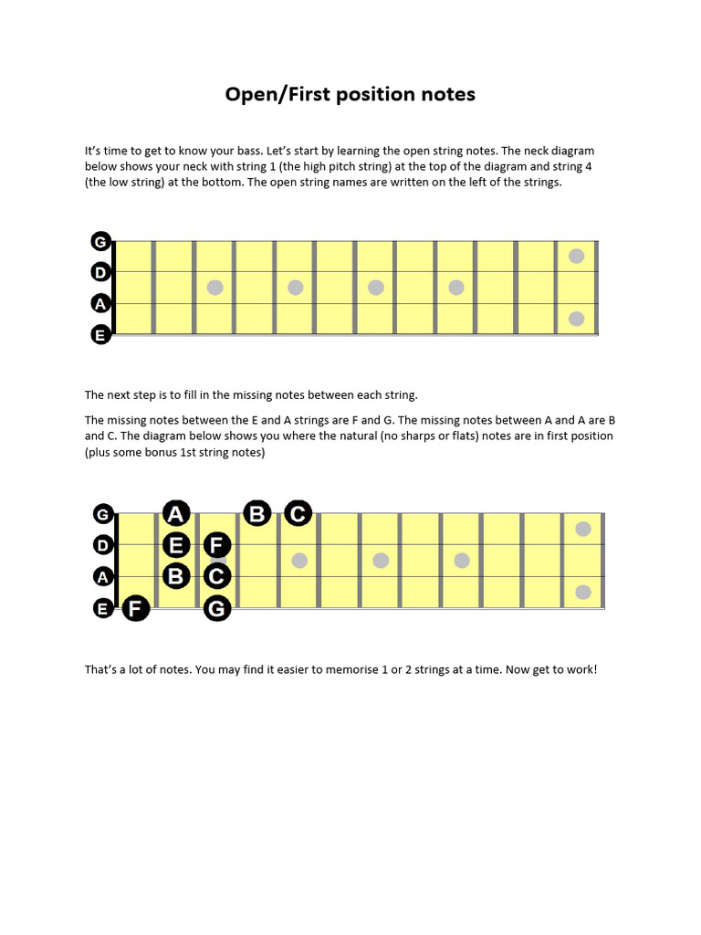 Bass Open String Notes Guide | PDF