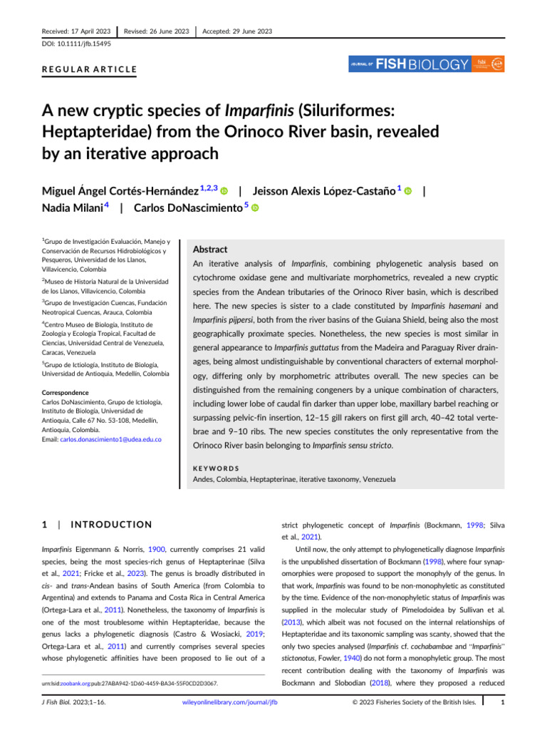A New Cryptic Species of Imparfinis (Siluriformes: Heptapteridae) From ...