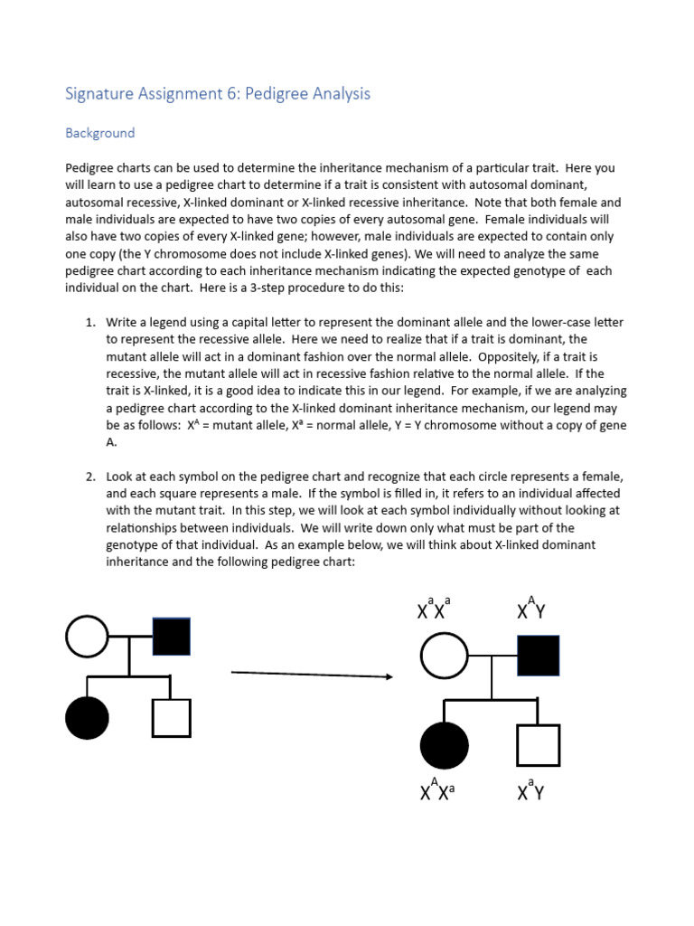 signature assignment 6 pedigree | PDF | Dominance (Genetics) | Genotype