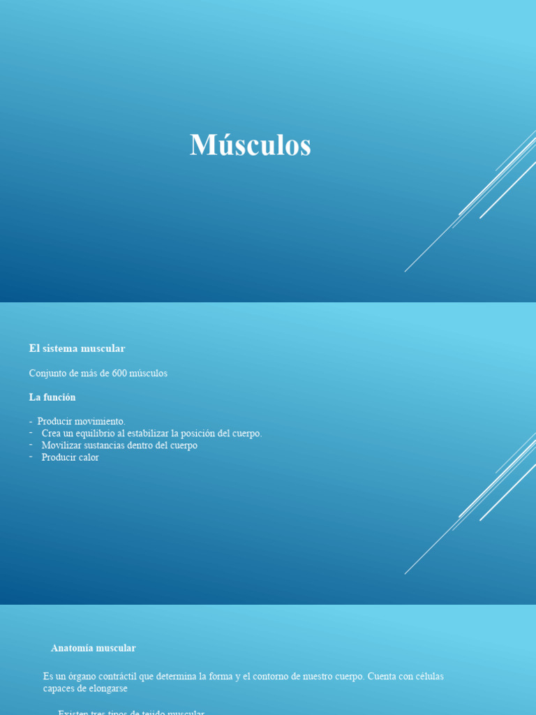 M Cara, Cuello y Tronco CLASE FANY | PDF