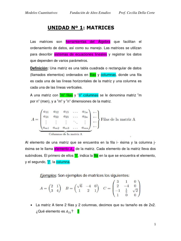 Unidad #1 - Matrices | PDF | Matriz (Matemáticas) | Física Matemática