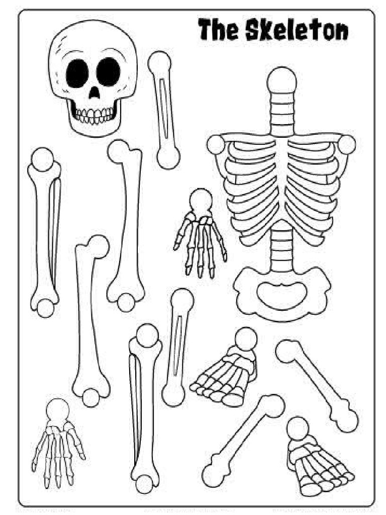 SKELETON | PDF