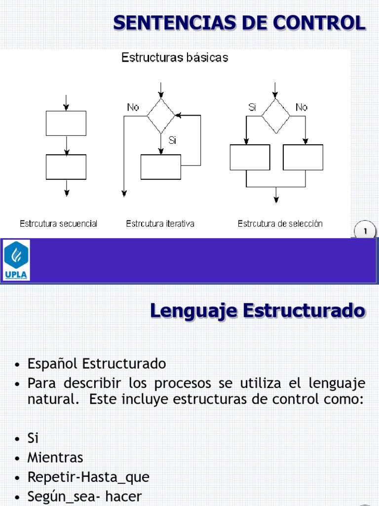 Estructuras de Control en Lenguaje Estructurado | PDF | Matemáticas ...