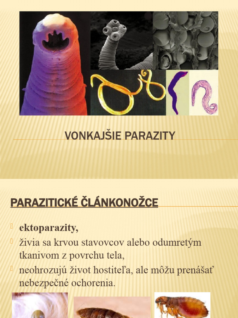 17.h Vonkajšie Parazity | PDF