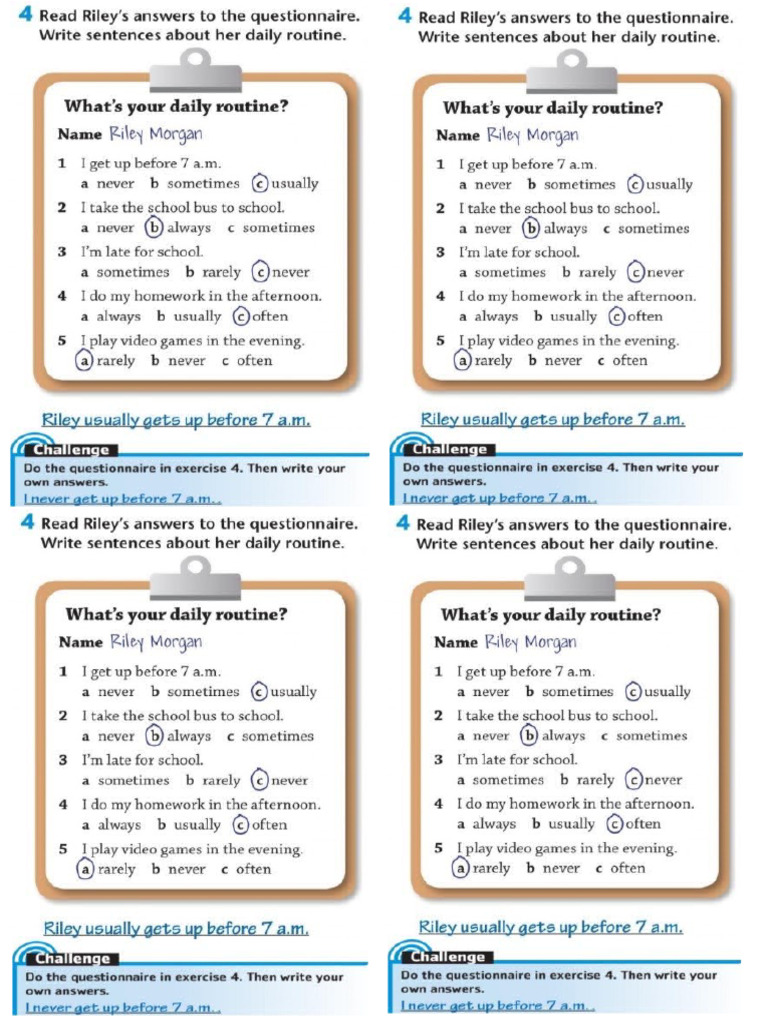 Daily Routine Survey | PDF