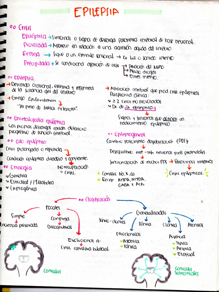 Epilepsia | PDF
