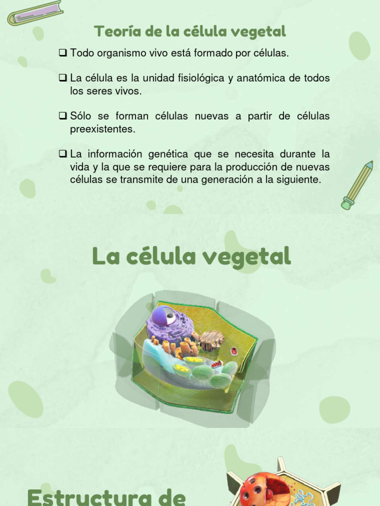 CELULA VEGETAL - FISIOLOGÍA VEGETAL | PDF | Citoplasma | Biología Celular)