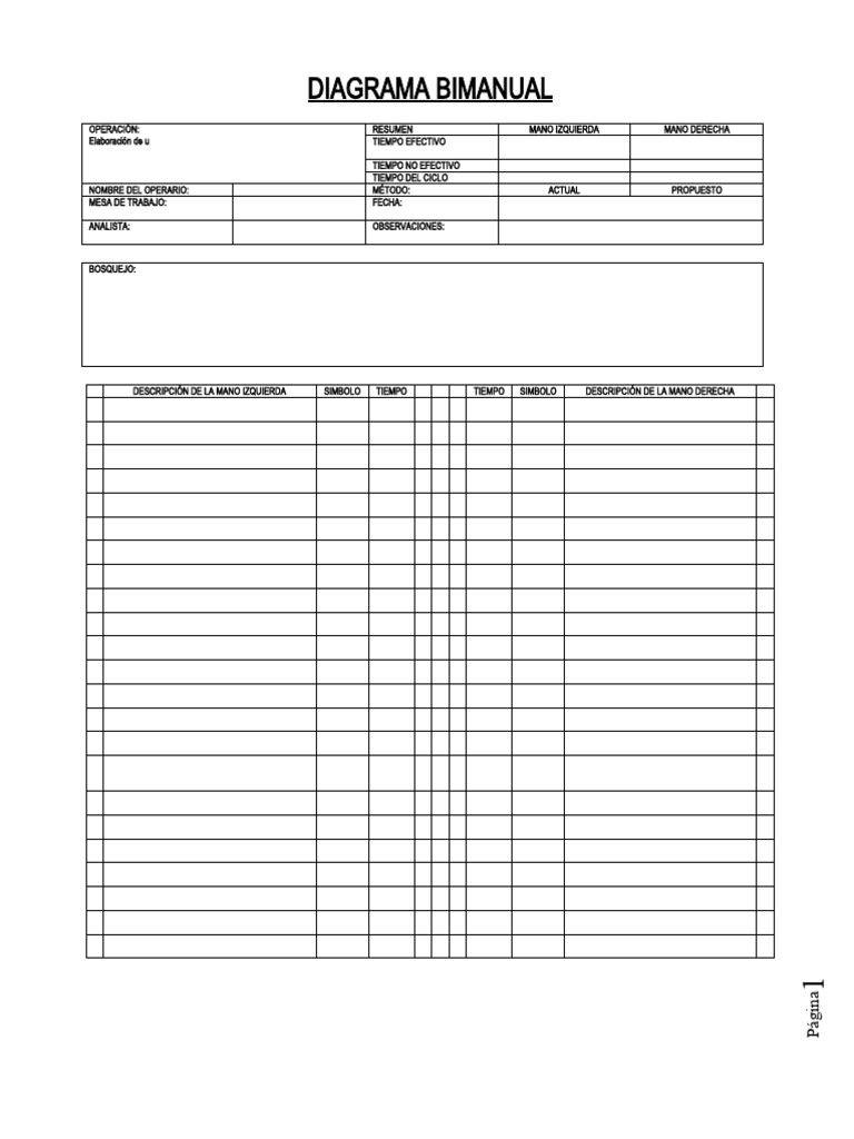 Formato Diagrama Bimanual | PDF