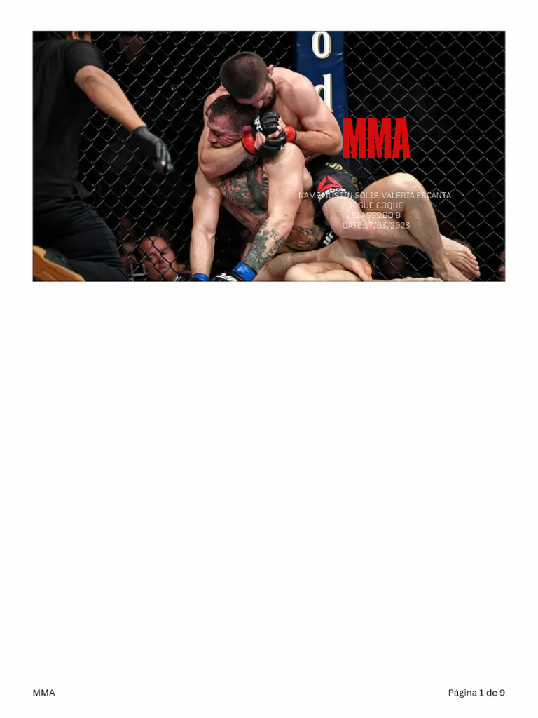 MMA | PDF