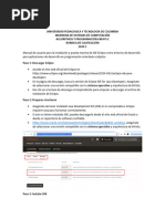 Instructivo para Configuración Del Siace | PDF | explorador de Internet | Microsoft Windows