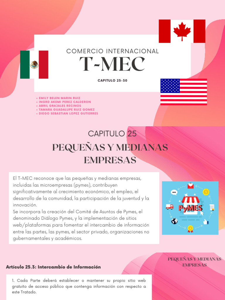 Tmec Equipo 5 | Descargar gratis PDF | Pequeñas y medianas empresas | aduana