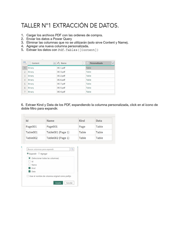 Extracción de Datos desde PDF a Power BI | PDF | Informática