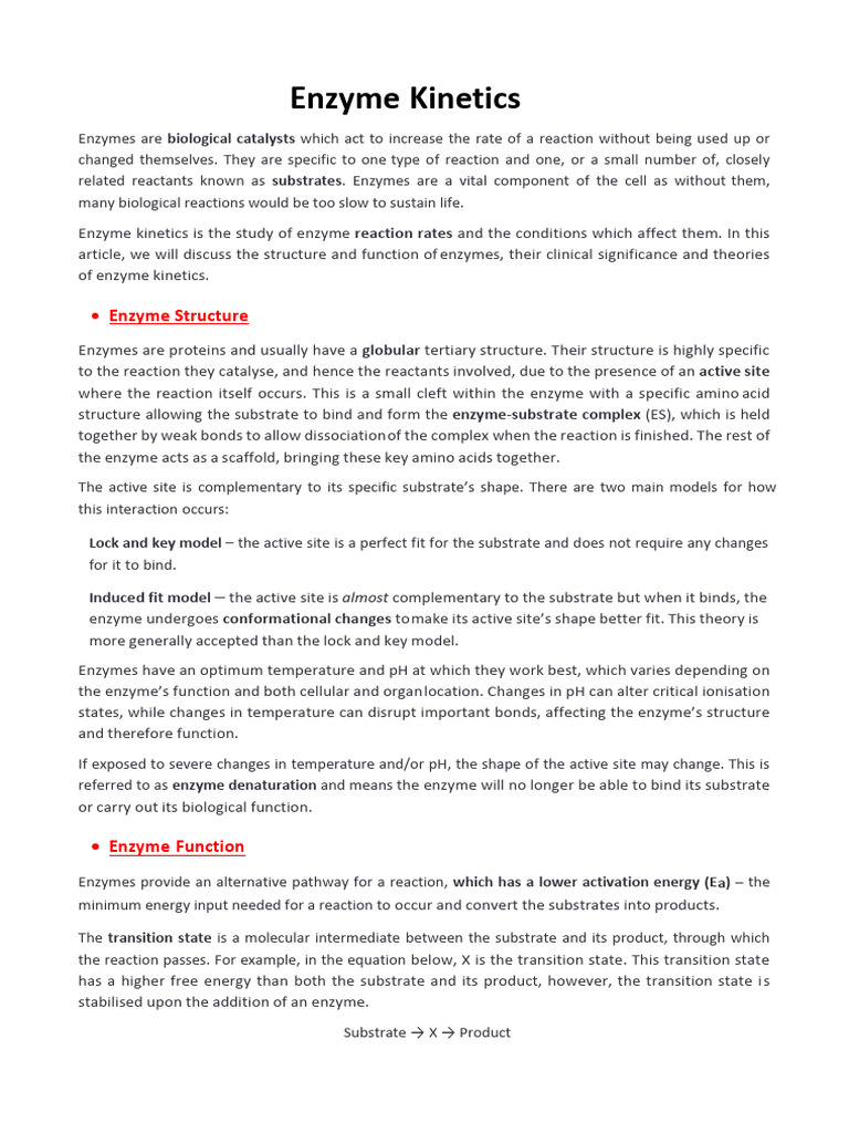 Enzyme Kinetics | PDF | Enzyme Kinetics | Enzyme