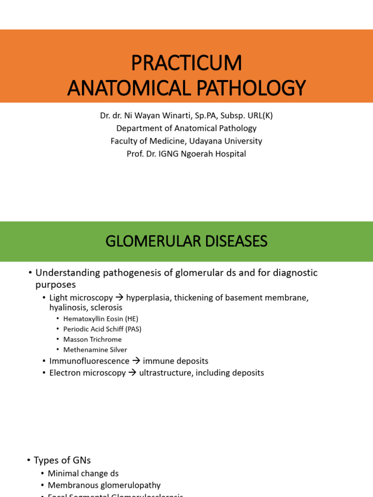 Lecture 13. Practicum PAthology Anatomy | PDF | Medical Specialties ...