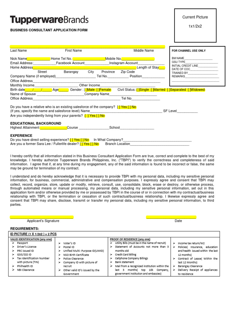 BUSINESS CONSULTANT APPLICATION FORM - Revised | PDF | Identity Document