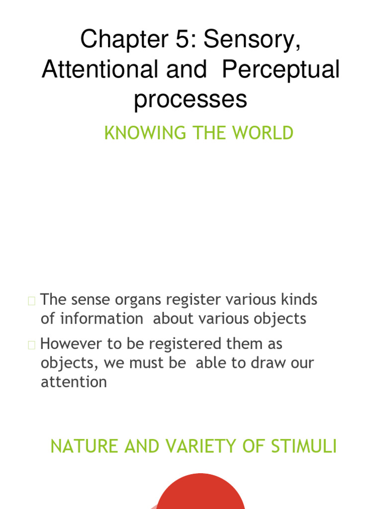 Chapter 5 - Sensory, Attentional and Perceptual Processes | PDF ...