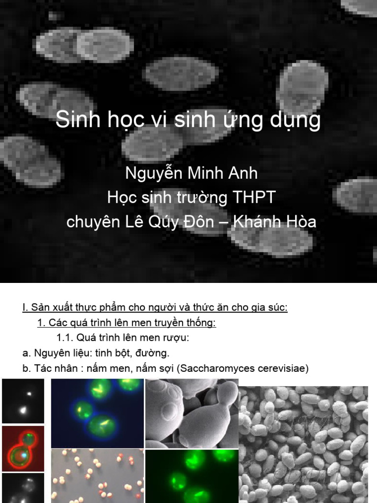 Sinh Hoc Vi Sinh Vat Ung Dung | PDF