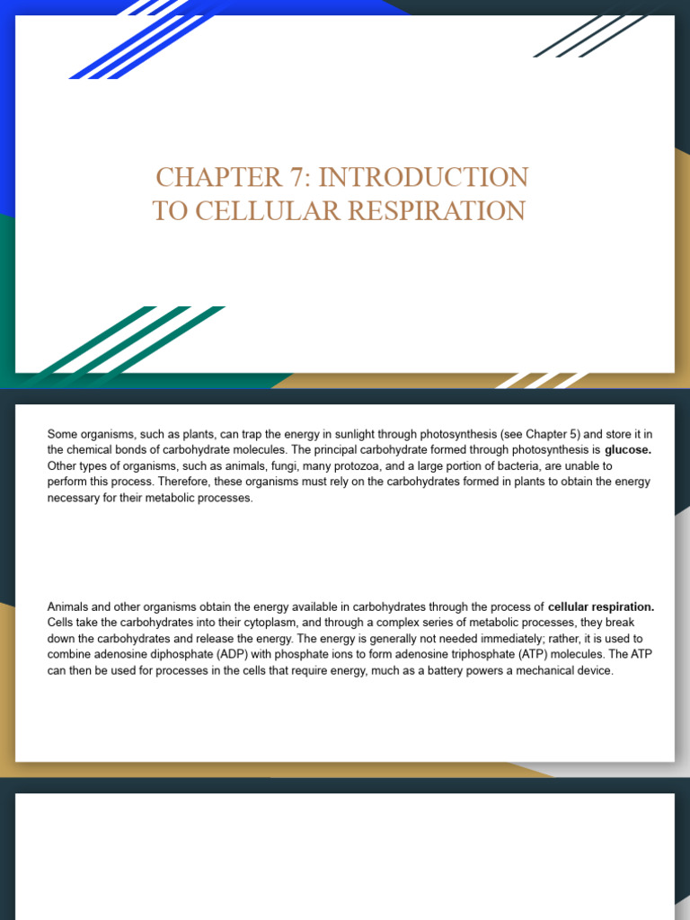 Chapter 7 - Introduction To Cellular Respiration | Download Free PDF ... Chapter 7 - Introduction To Cellular Respiration | Download Free PDF ...
