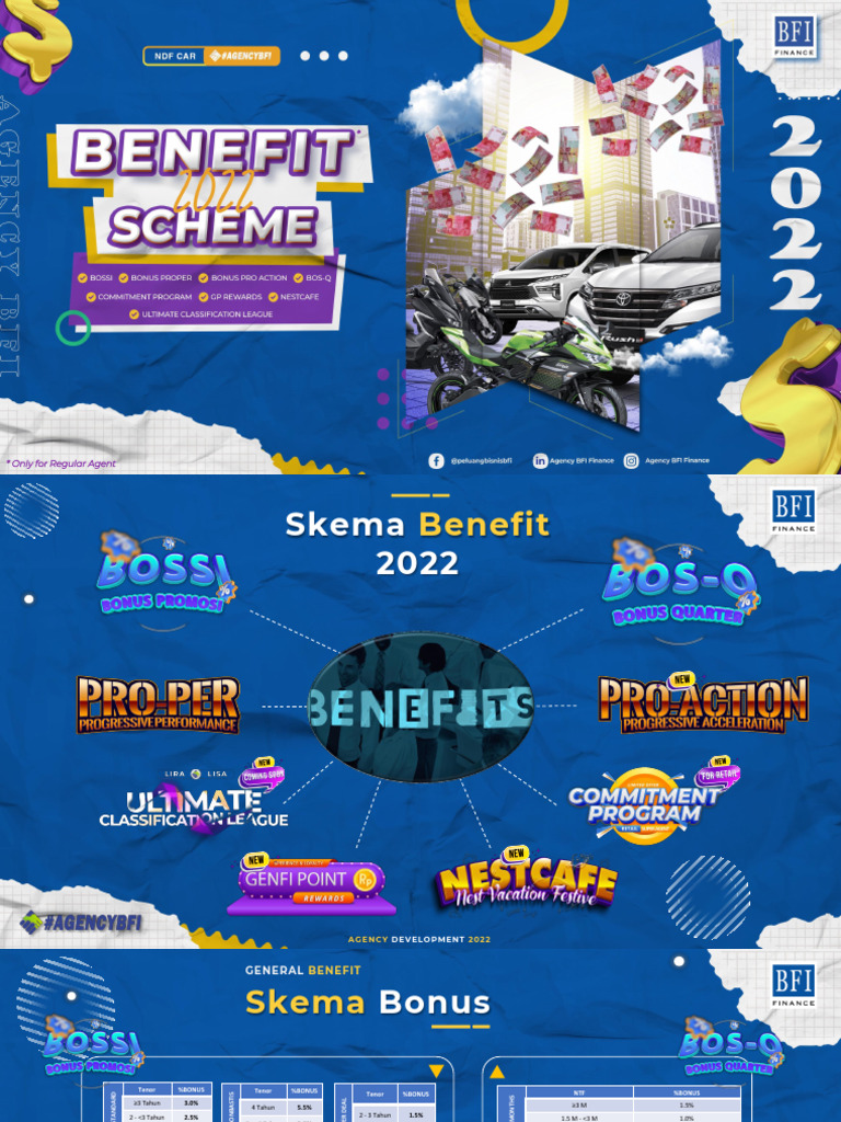 BFI - Benefit Scheme Agency NDF Car 2022 | PDF