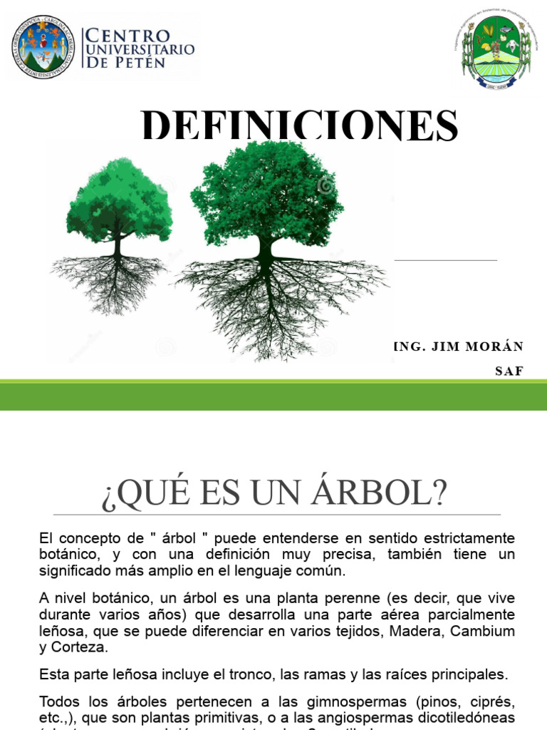 Definiciones-qué Es El Arbol | PDF | Tallo de la planta | Raíz