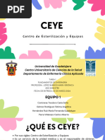 CEYE | PDF | Esterilización (Microbiología)