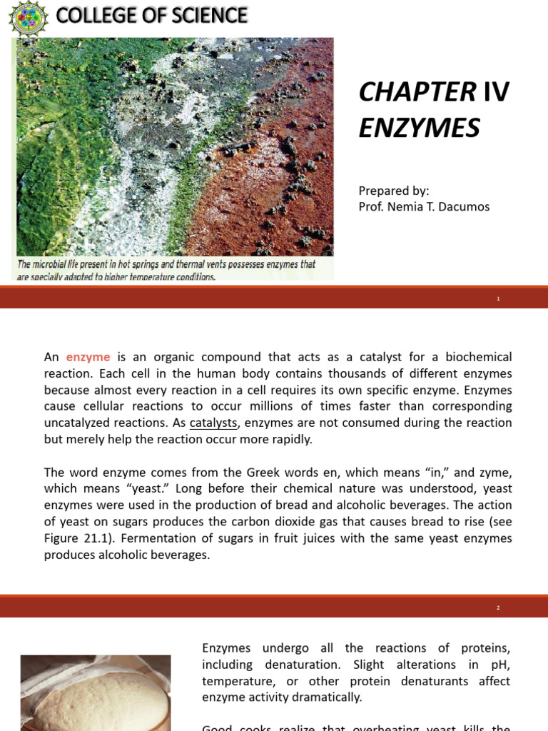 Chapter 4 - Enzymes in BIOCHEMISTRY | PDF | Enzyme | Cofactor (Biochemistry)