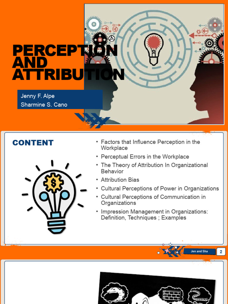 Perception and Attribution V2 | Download Free PDF | Perception | Cognition