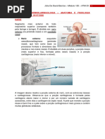 Anatomia Do Nariz e Seios Da Face | PDF | Sistema Esquelético | Otorrinolaringologia