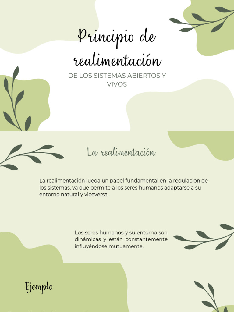 Principio de Realimentación | PDF | Entorno natural | Realimentación