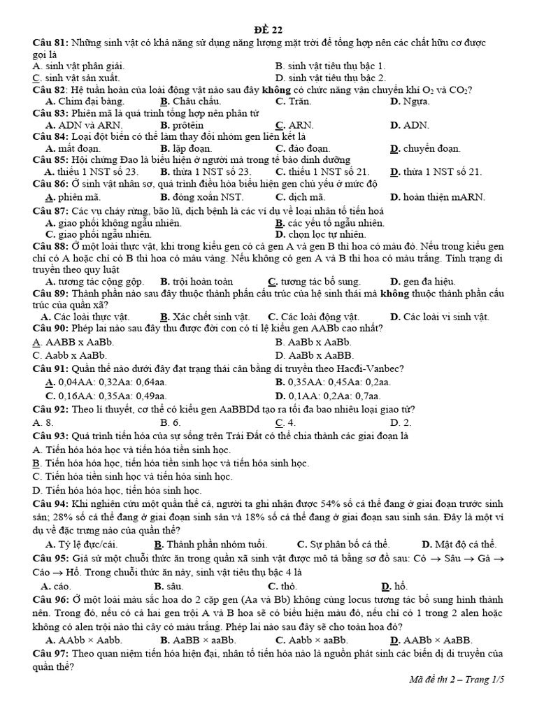 Cac de Luyen Thi | PDF