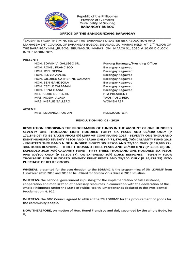 Ana Mae BDRRMC Reso 2020 | PDF | Technology & Engineering