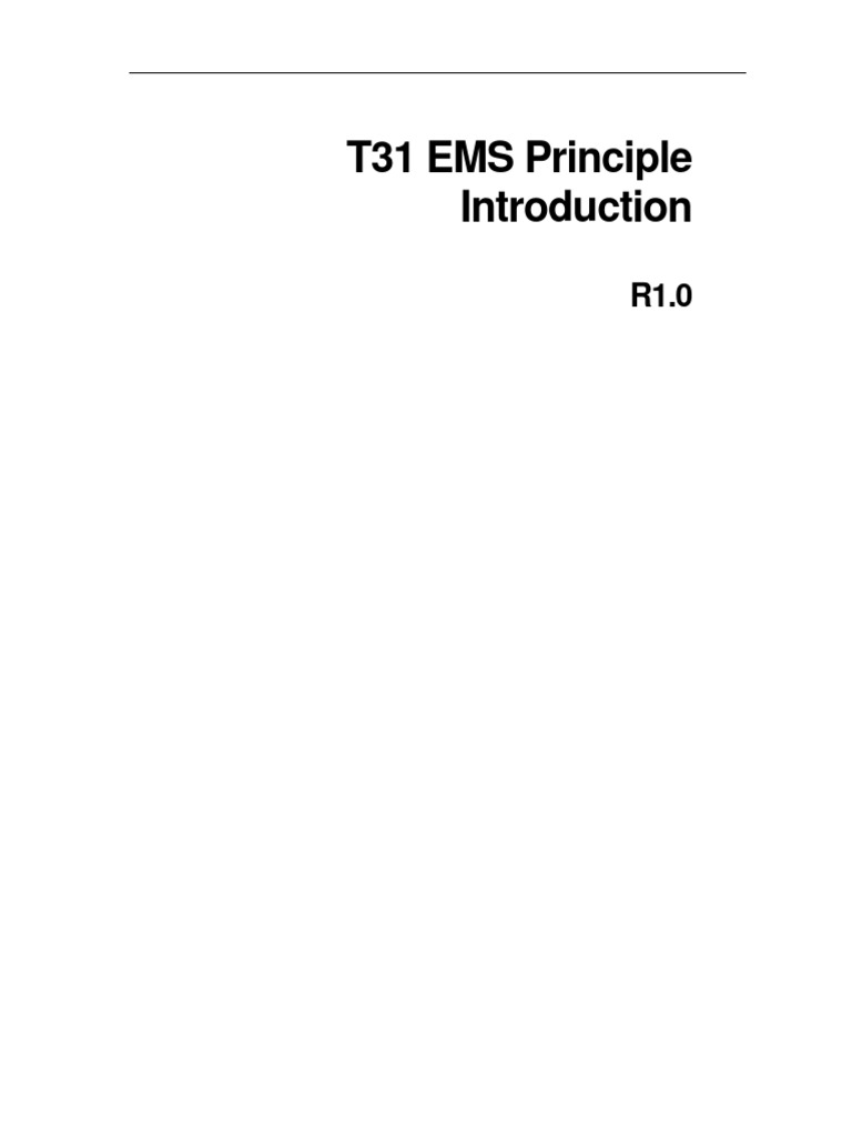 NetNumen T31 EMS Principle Introduction - R1 - T30-T31-T32 | PDF ...