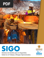 SIGO | PDF | Seguridad y salud ocupacional | Salud y bienestar