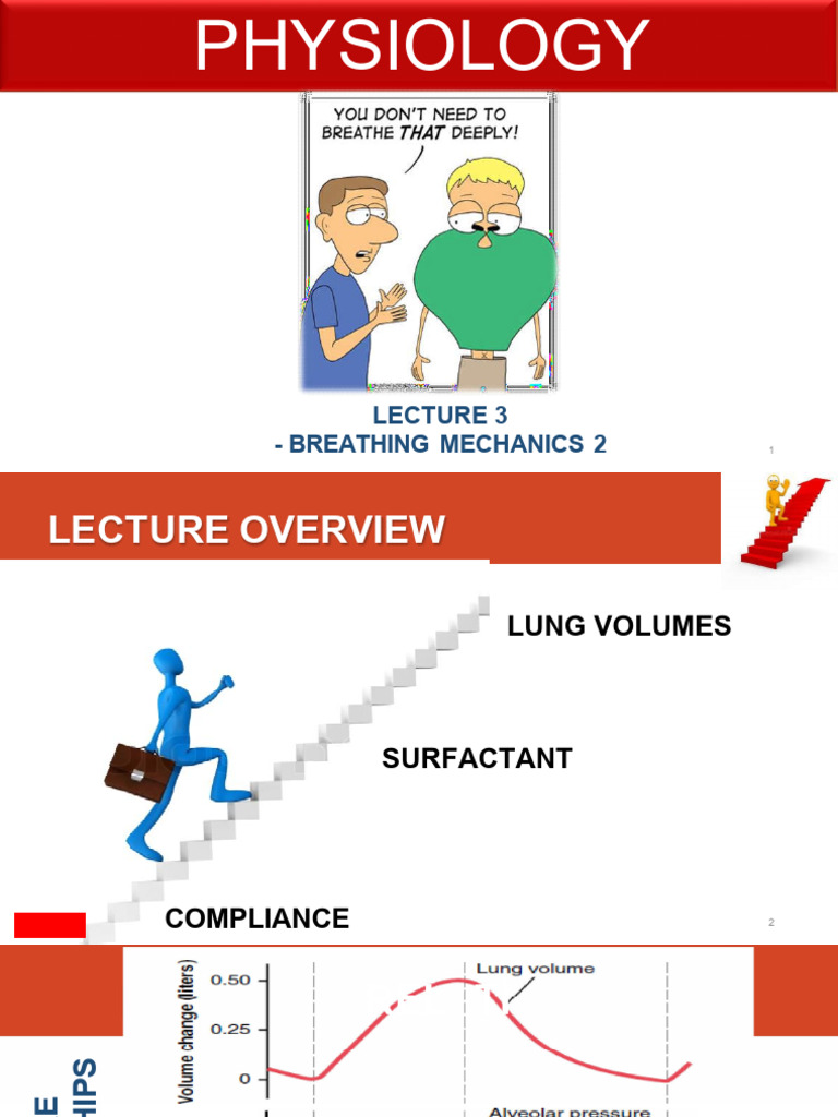 Lecture 3 Breathing Mechanics 2 Pdf Exhalation Breathing