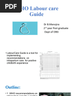 WHO 2022 Partograph | PDF