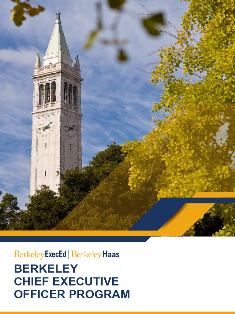 B2B SEPO Brochure Berkeley ChiefExecutiveOfficer Program | PDF | Leadership | Innovation