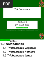 BASHH Guidelines for Trichomonas Management | PDF | Sexually ...